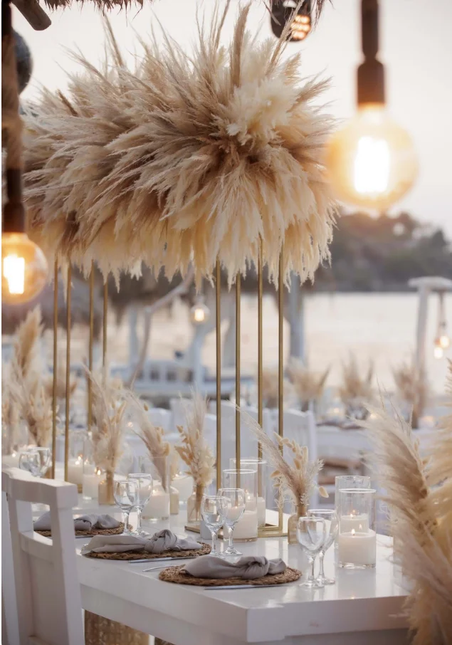 Dry Pampas Grass Flower Material for Boho Wedding Arrangements