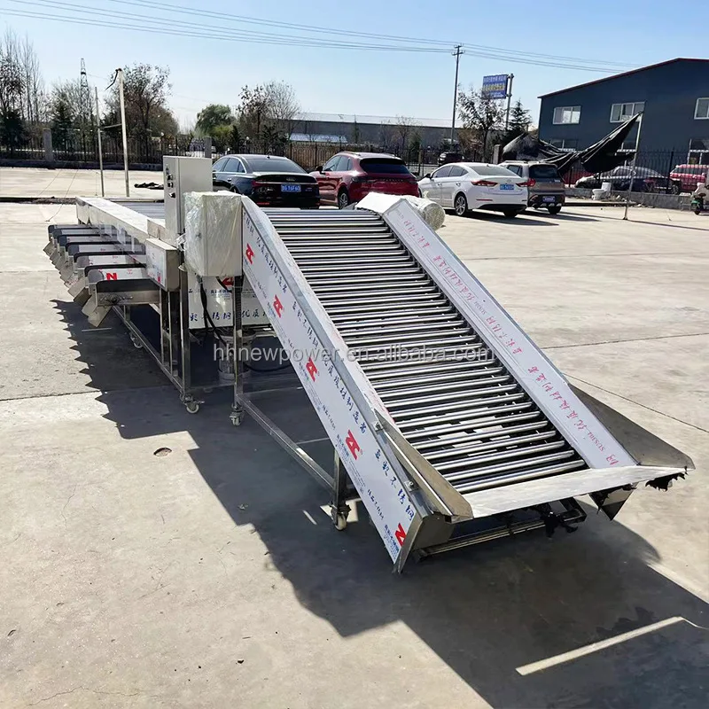 Vegetable Fruit Sorting Apple Grader Machine Potato Tomato Size Classifier Chili Pepper Onion ...