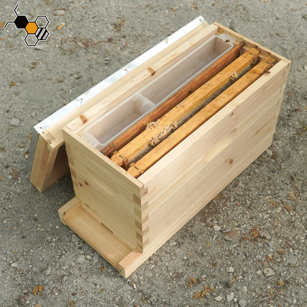 5-frame Nuc Beehive - Complete Langstroth Beekeeping Box