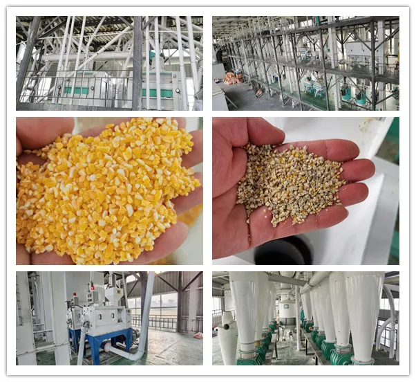 All Types Of Maize Milling Machine Maize Milling Machine Flour And ...
