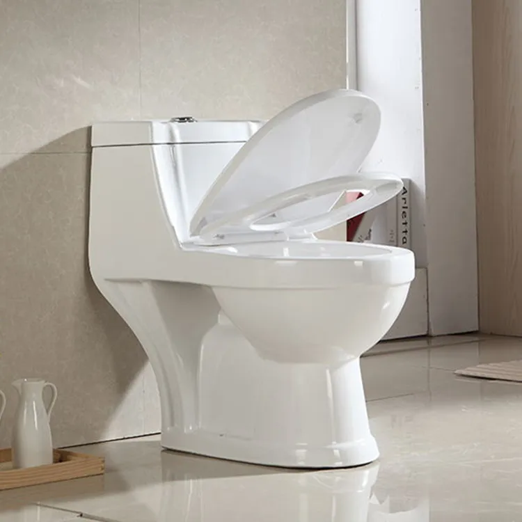 Saudi Arabian Toilets