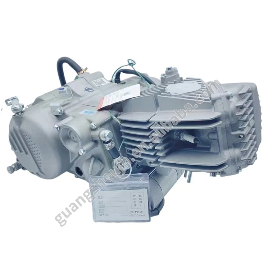 Motorcycle Horizontal Engine Zongshen W190cc Zongshen 190cc 5-speed ...