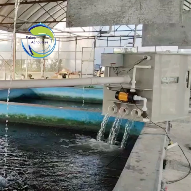 Aquaponic Shrimp Fish Farming - Efficient RAS System