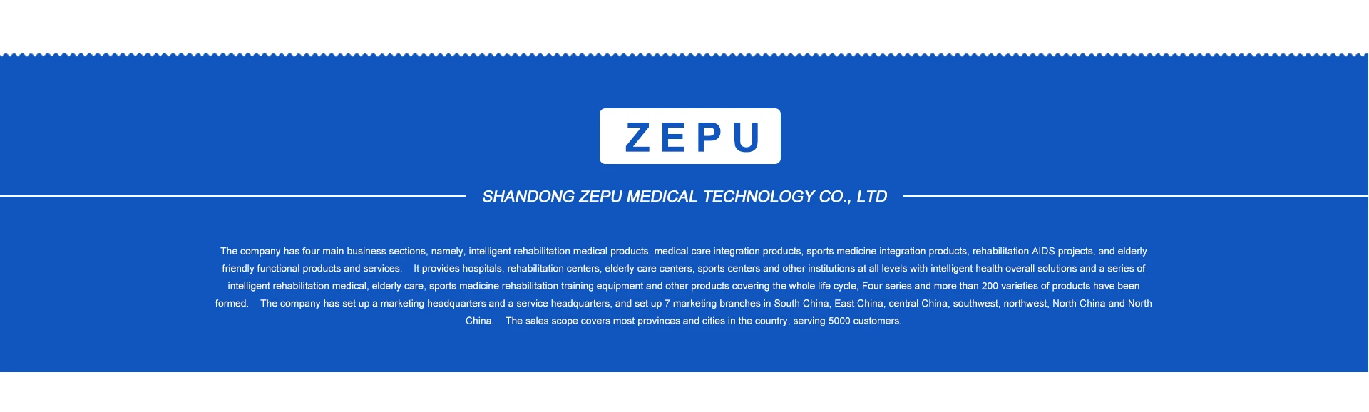Company Overview - Shandong Zepu Medical Technology Co., Ltd.