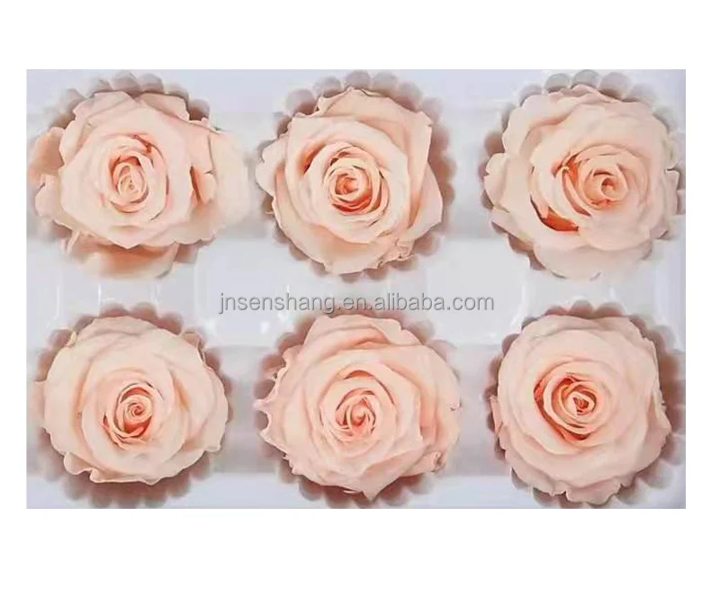 High Quality Preserved Roses 2-3 Cm Forever Roses Preserved Roses - Buy ...