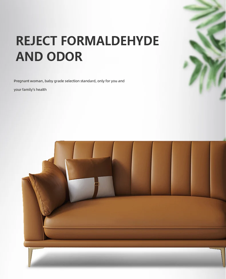 Light Luxury Simple Modern Leather Sofa Luxury Living Room Italian Down ...