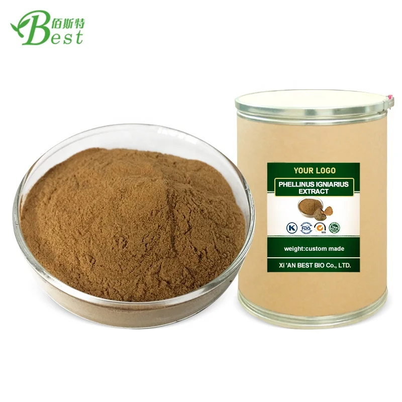 High Quality Phellinus Igniarius Extract/phellinus Linteus Mushroom ...