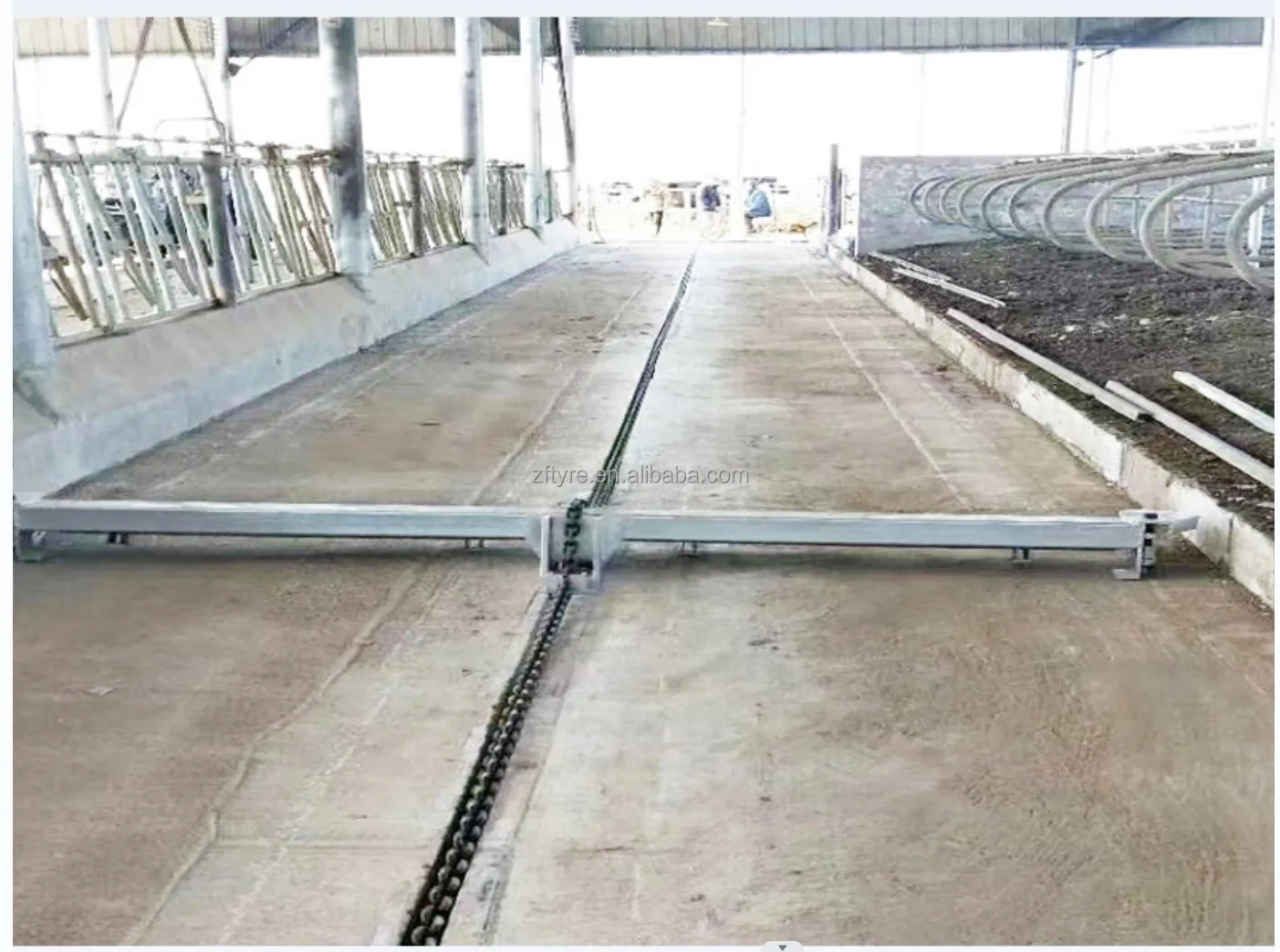 Large Dairy Farm Cow Manure Scraper Machine For Cattles/cows - Buy ...