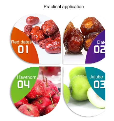 Palm Dates Processing Line - Efficient Date Syrup Production