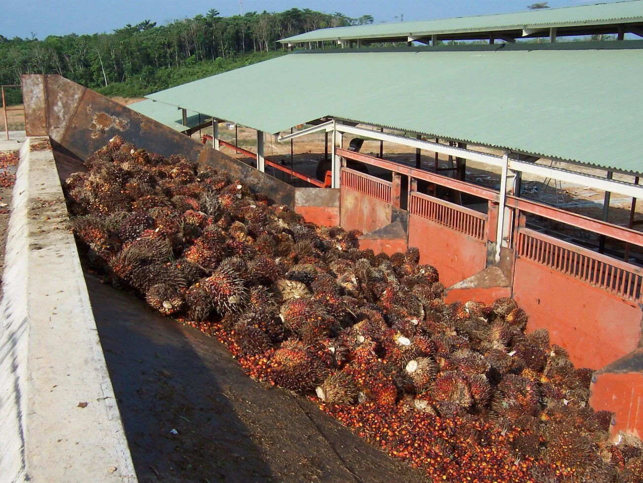 25t/day Crude Palm Oil Processing - Efficient & Durable