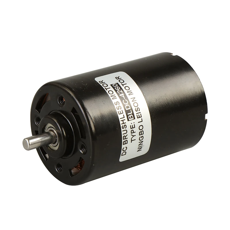 마이크로 Bldc 모터 Rc 유형 15w 사용자 정의 듀얼 샤프트 - Buy Dual Shaft Brushless Dc ...
