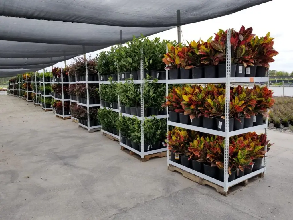 Plant Multi Shelf Greenhouse Flower Storage Racks Heavy Duty Garden ...