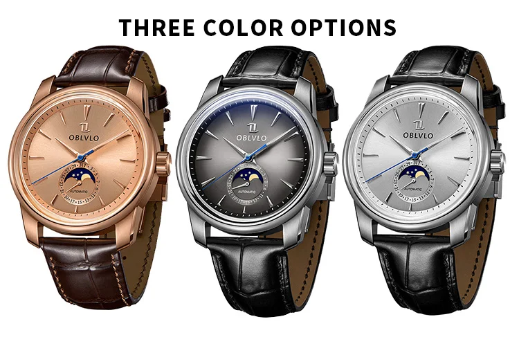 Luxury Stainless Steel Moonphase Automatic Mechanic Watch High-end ...