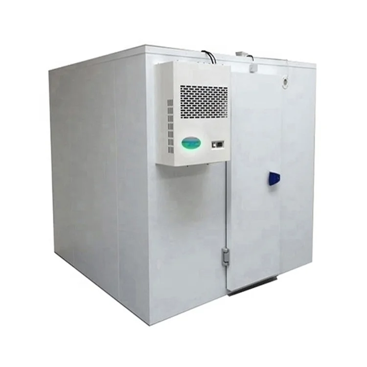 Small Cold Storage Cool Room Mini Cold Storage Plant Cost Mini Cold ...