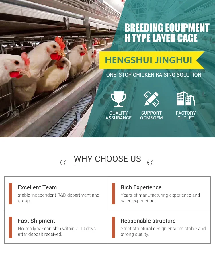 Automatic Broiler Breeding Cage System Broiler Brooding Battery Cage ...