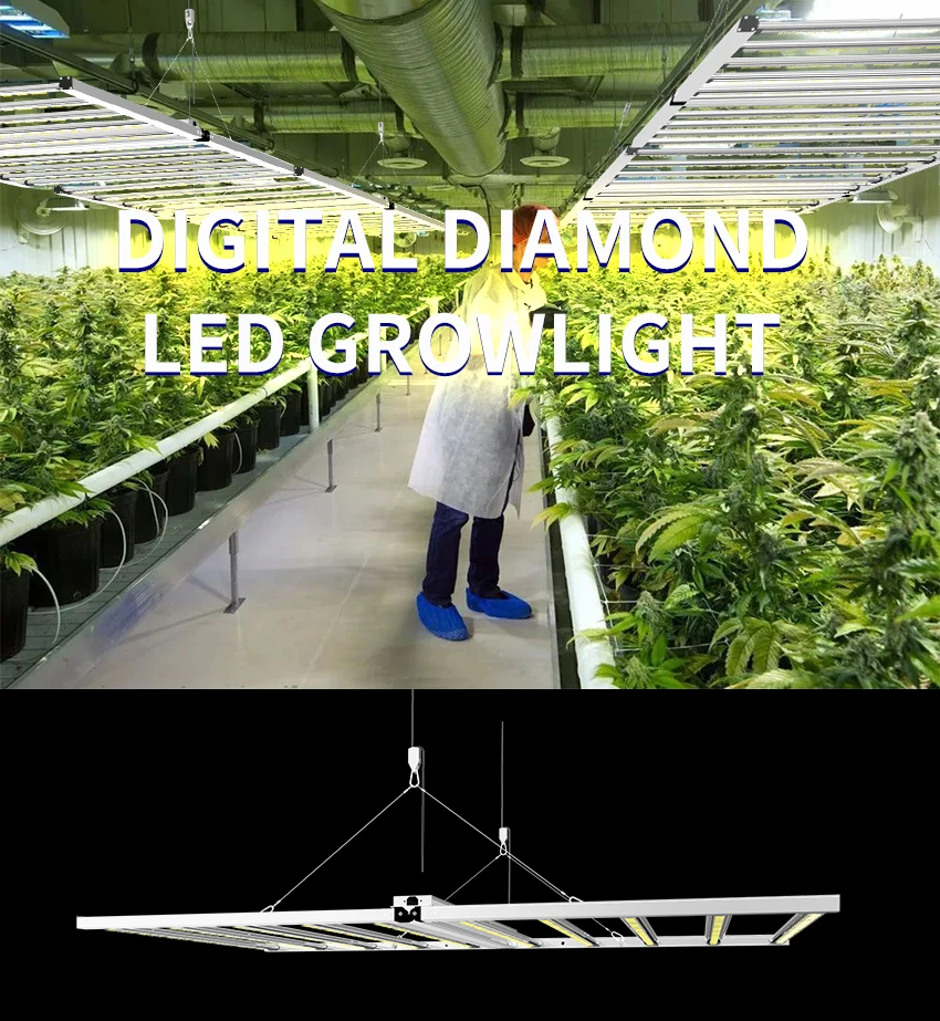 Samsung 281b 1000w Led Growlights 10 Bars Eco-friendly Aluminum Full ...