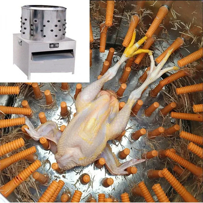 High Quality Automatic Chicken Pluckers Machine Chicken Scalder and ...