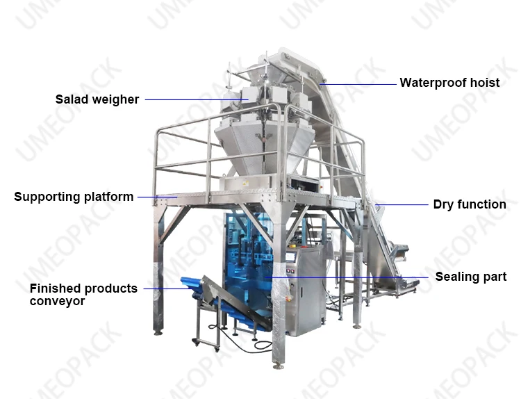 Automatic Bean Sprout Fruit And Fresh Sliced Leafy Vegetables Salad ...