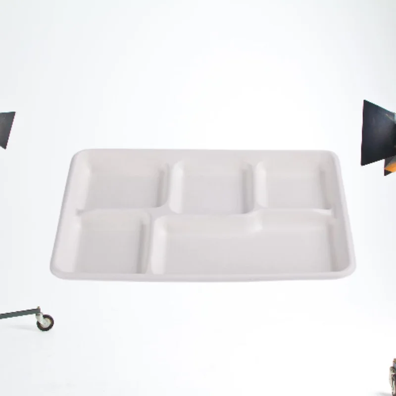 Rectangle Bagasse Bamboo Paper Biodegradable Disposable Tray - Buy Tray ...
