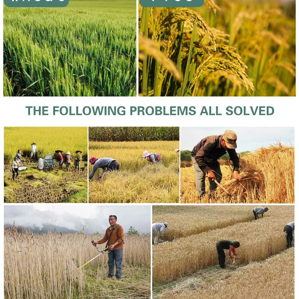 Small Combine Wheat Paddy Rice Harvester 12.5HP Mountain Fild Use Wheat ...