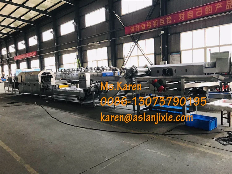 Prune Cleaning Washing Production Line / Dried Prune / Apricot / Raisin ...