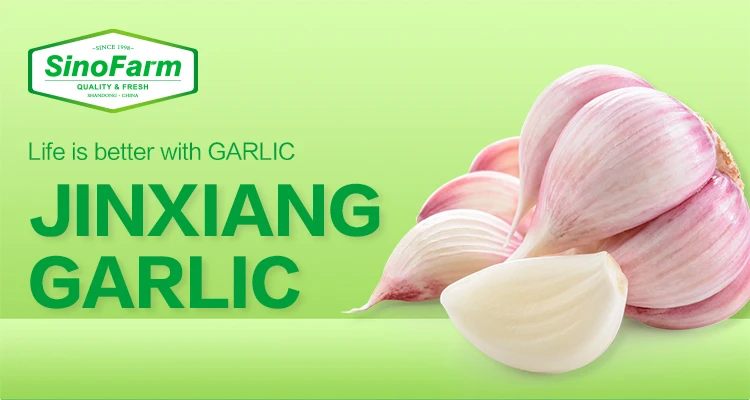 Fresh Garlic New Crop Garlic Wholesale From China Export 5kg Bags Trade ...