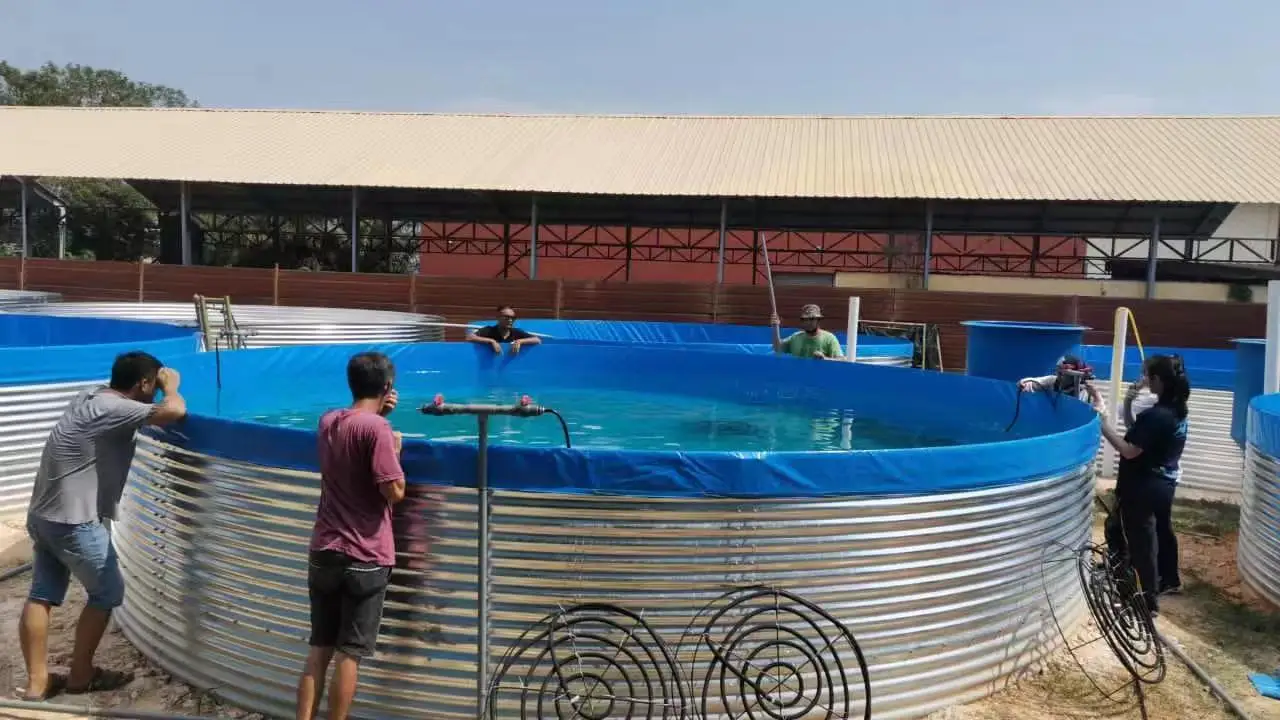China Factory Directly Supply Shrimp Farms Aquarium Water Tank Durable ...