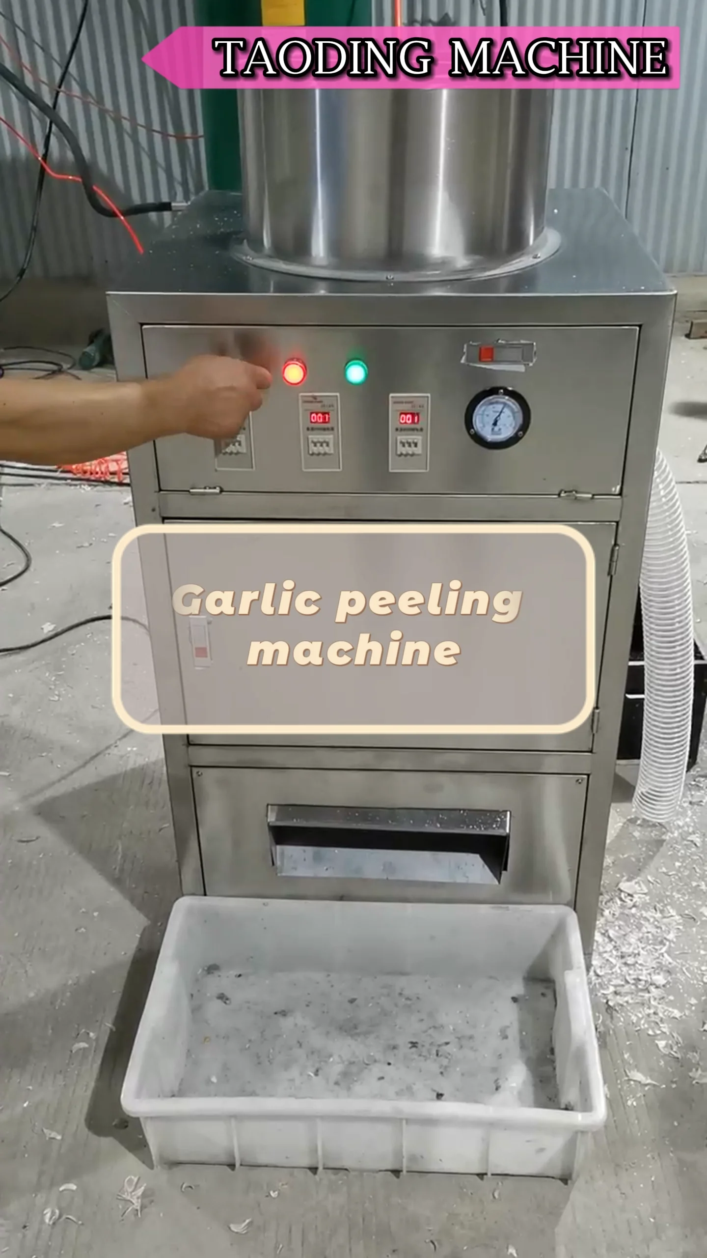 Stainless Steel Small Garlic Peeling Machine Automatic Onion Peeler ...