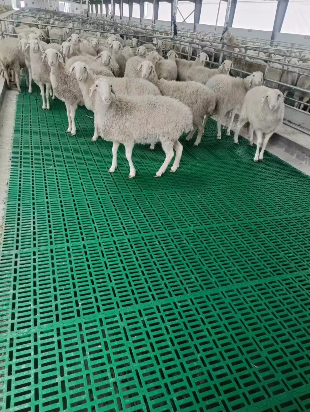 High Strength Pig Plastic Slatted Floor Beam For Supporting Pig ...
