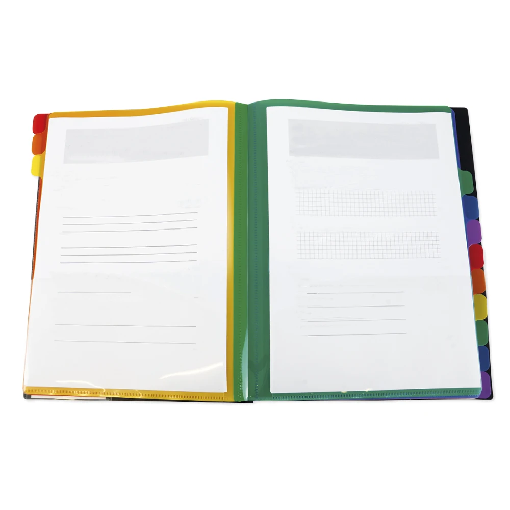 A4 Pp Plastic Document Holder Desk File Storage Bag With 12 Pocket ...