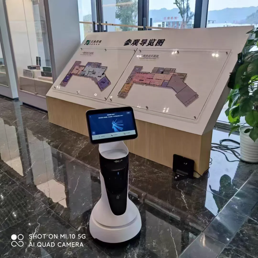 Humanoid Receptionist Greeting Robot Intelligently| Alibaba.com
