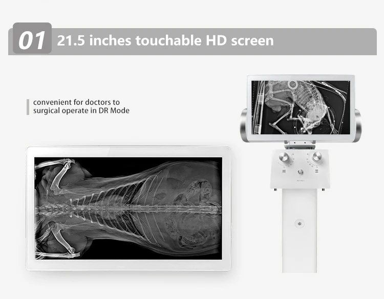 High Frequency Vet Medical Ai Automatic Measurement Rotatable Dynamic ...