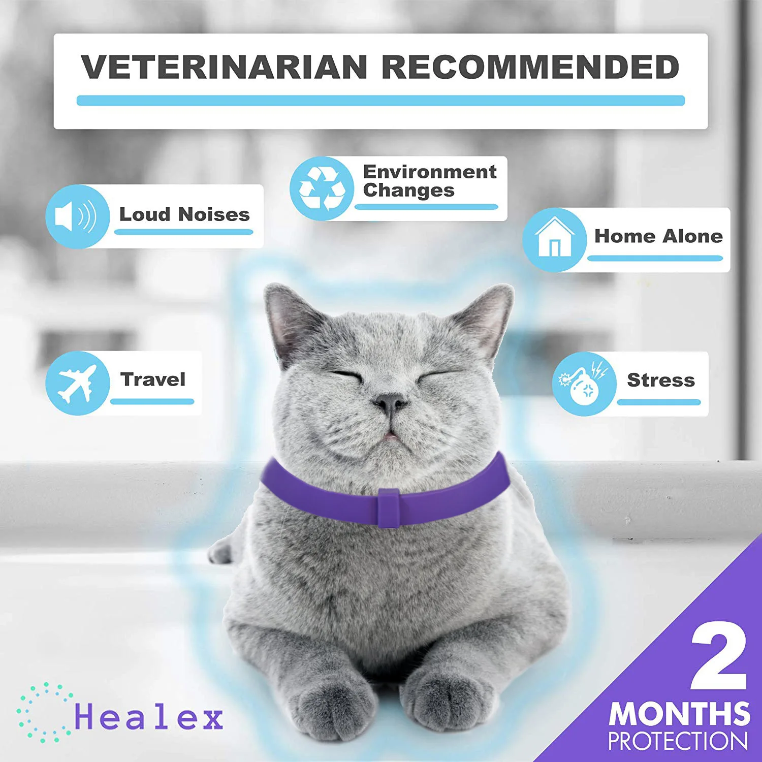 Pet Calm Collar - Anxiety Relief for Cats in China