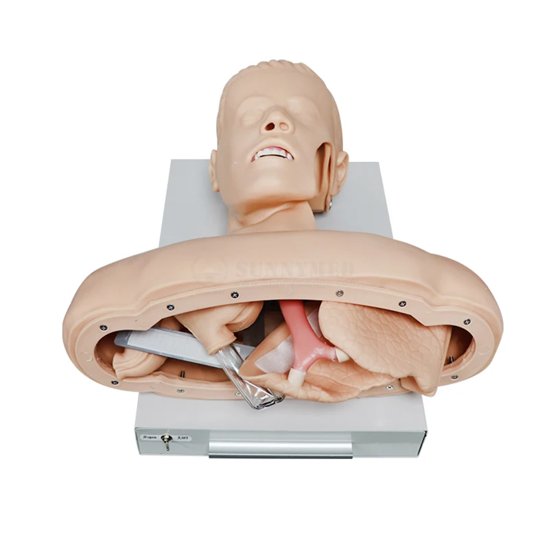 SY-N044 Endotracheal Intubation Training Manikin Medical Training Cpr ...