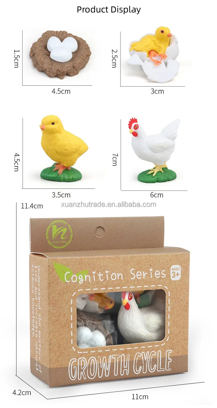 Life Cycle Toys Animal Figurines Teaching Aids Kids Montessori Toys ...