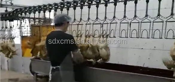 Spin Chiller - Efficient Poultry Pre-Cooling Solutions