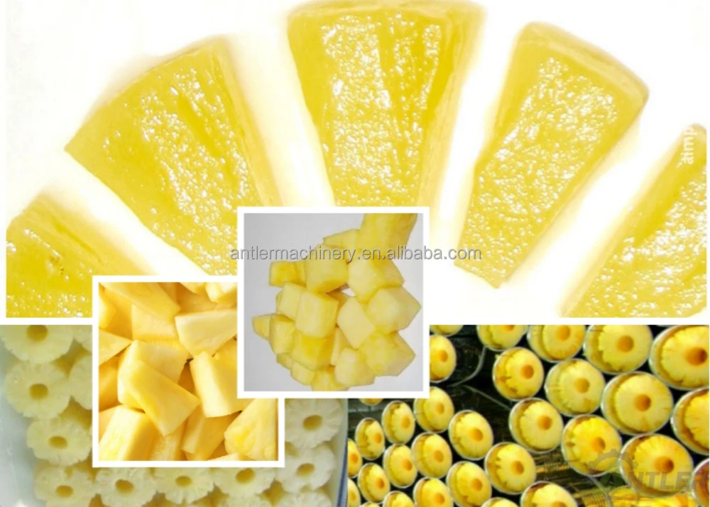 New Model Automatic Pineapple Peeling Machine - High Efficiency