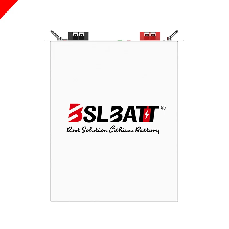 Bslbatt Wall Mounted Solar 5kwh Lifepo4 Home Energy Storage 48v 100ah ...