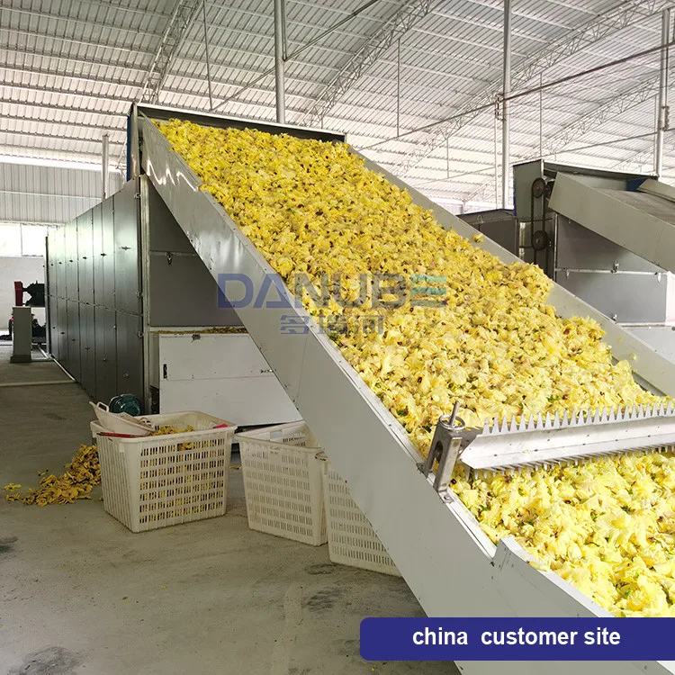 Flower Dryer Machine Agriculture Fruit Waste Drying Equipment ...