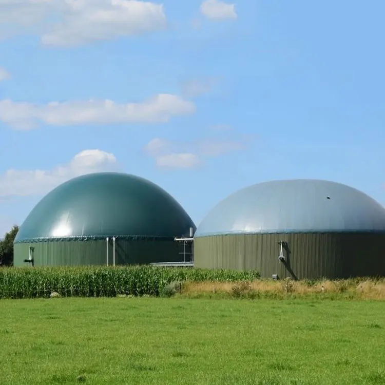 Double Membrane Biogas Storage Balloon for CHP Project