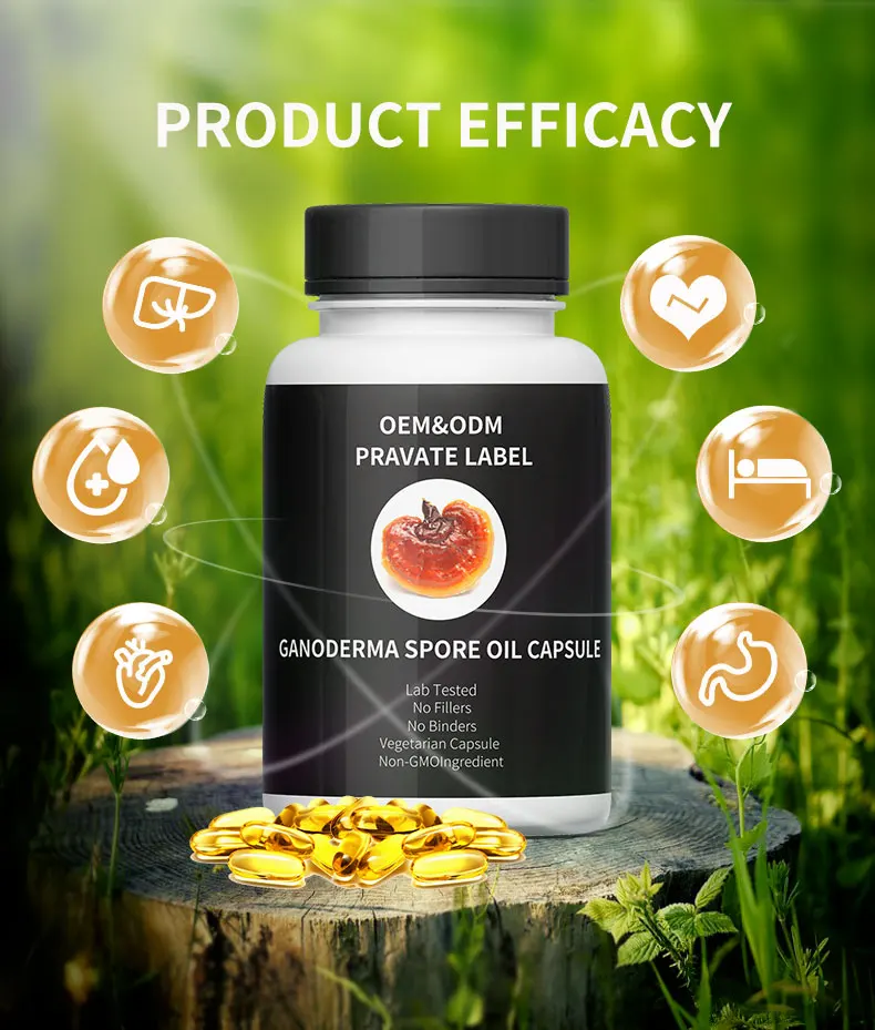 High Triterpenes Ganoderma Spore Oil Reishi Spore Oil Softgel For Liver ...