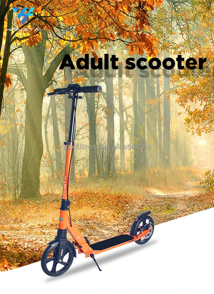 High Quality 2 Wheel Hand Brake Kick Scooter Foldable Kick Scooter Fast ...