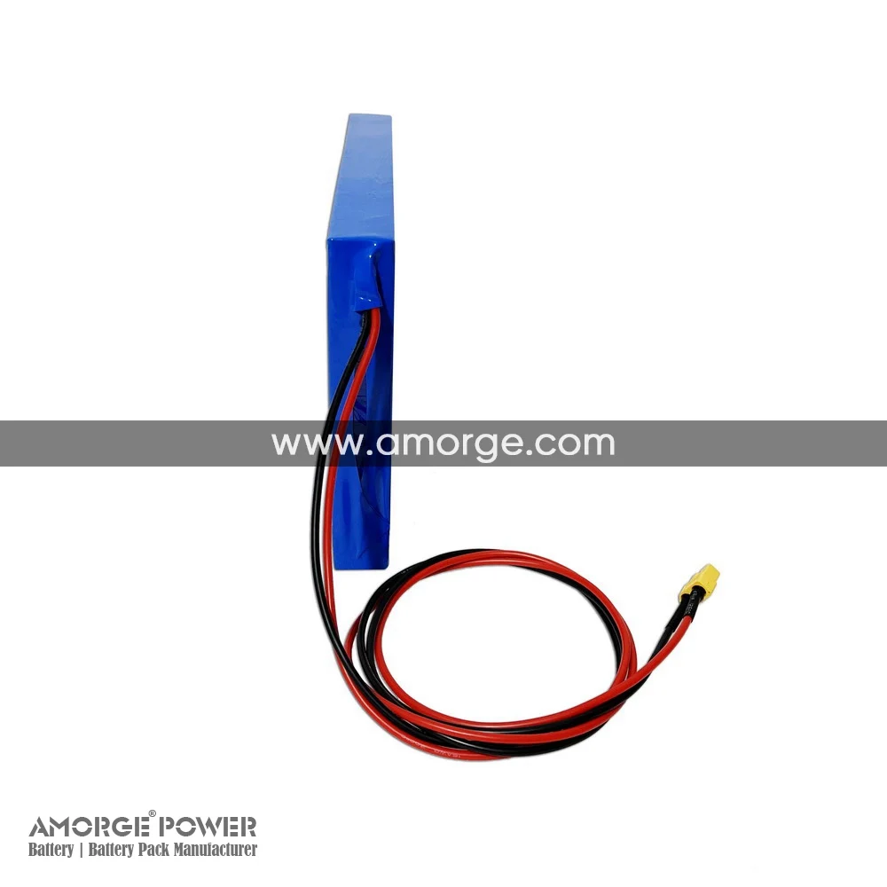 Amorge Customize 11.1v 24v 36v 48v 60v 72v 10ah 20ah 30ah 40ah Lithium ...