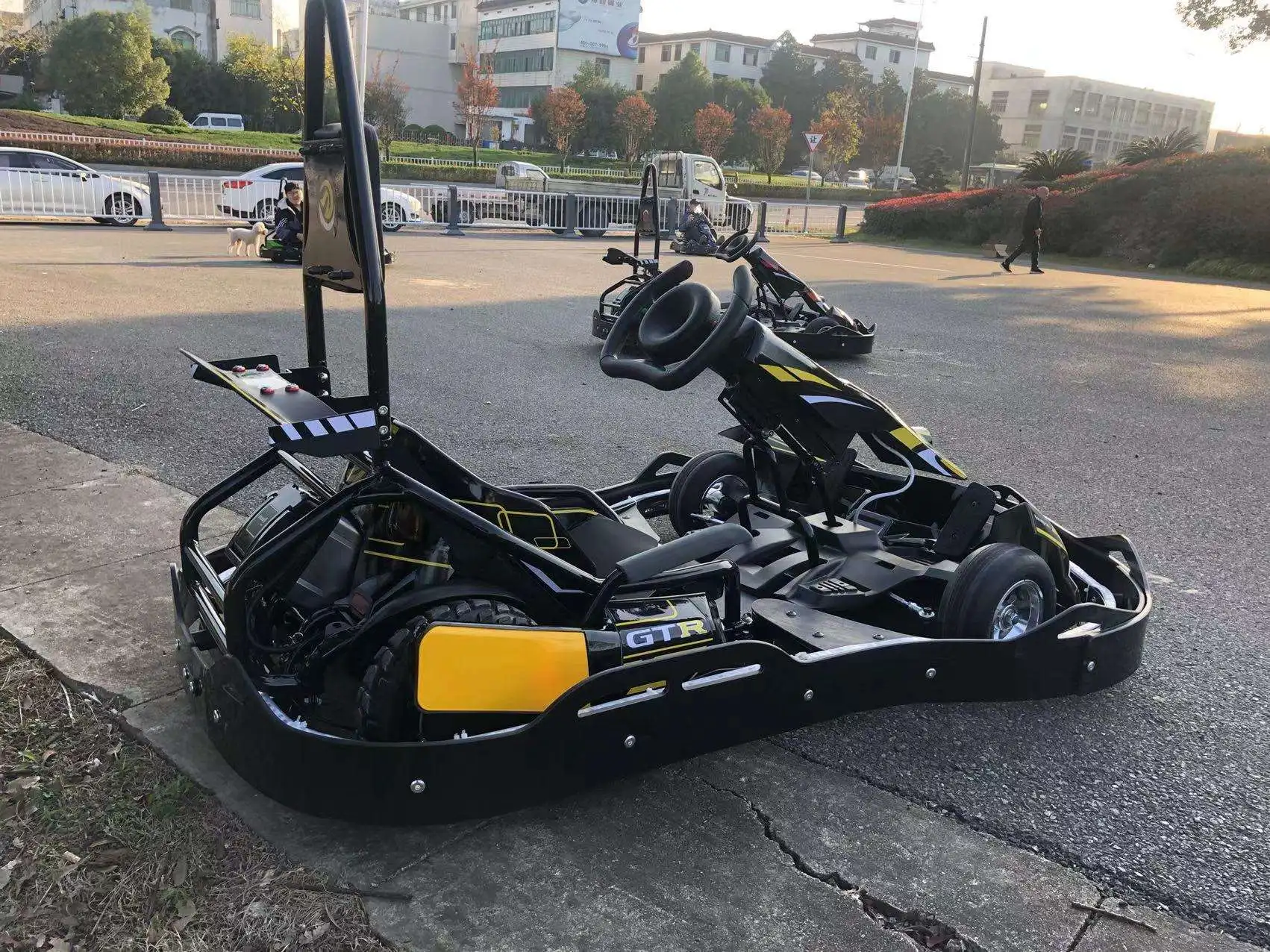 Wholesale Long Range 350W Electric Go Karts for Racing