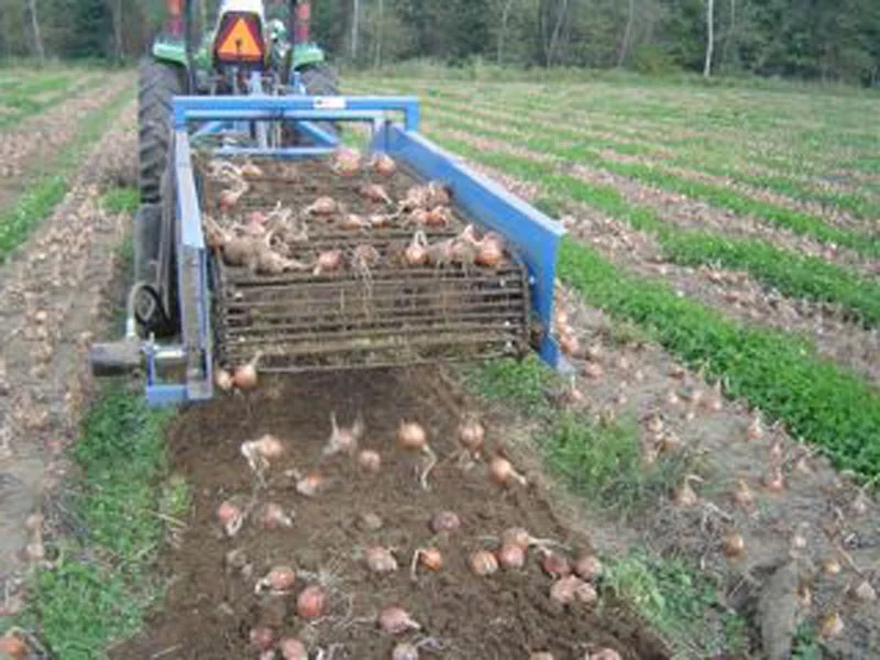 Tractor Implement 3 Point Potato Harvester - Efficient & Durable