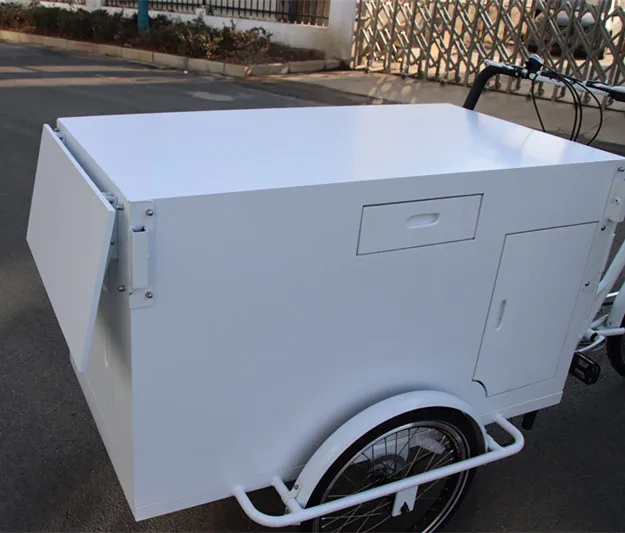Lithium Battery Freezer Bike - Perfect for Ice Cream Trailers