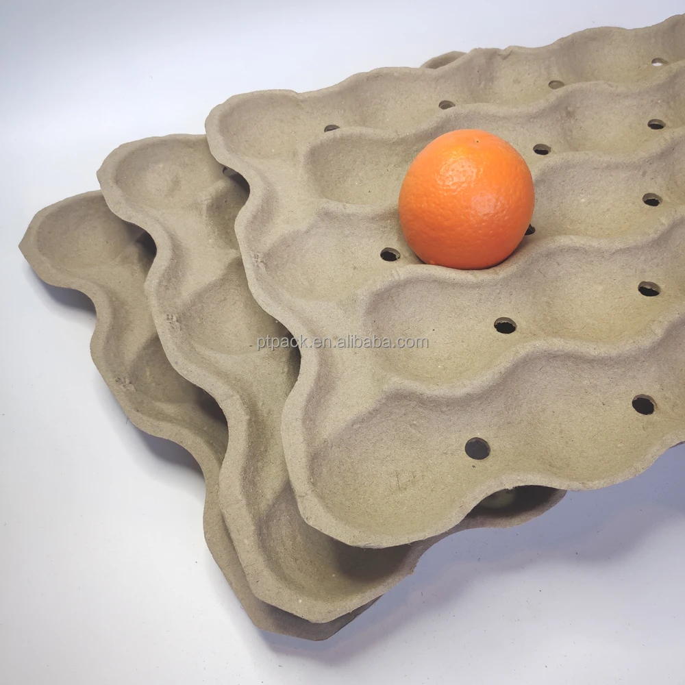 Environmental Molded Pulp Fig Tray For Fruit Shop Apple Paper Molded ...