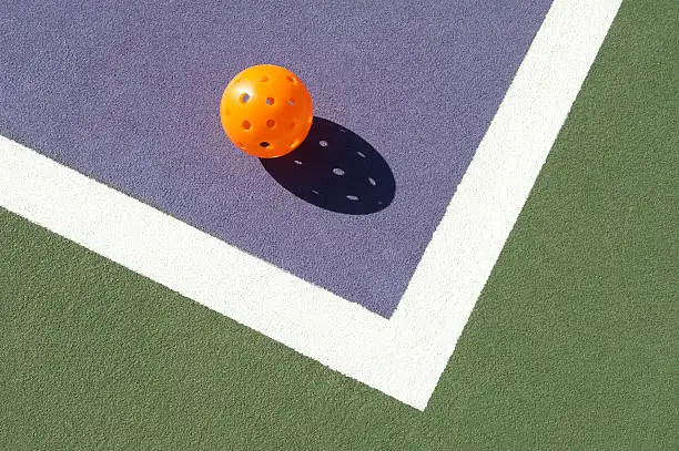 Flyon Pickleball Roll Mat - Durable, Anti-Slip Flooring