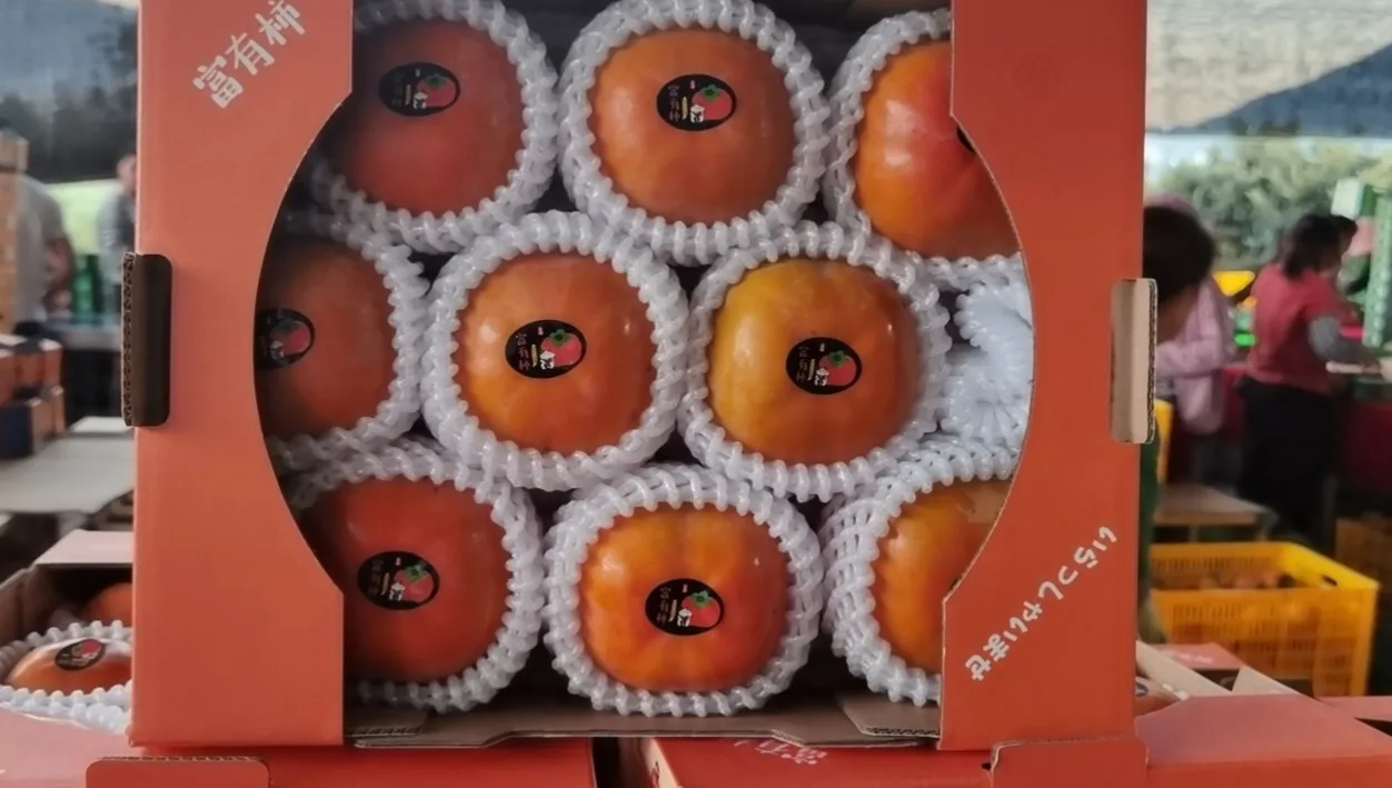 Automatic Folding Gluing Fruits Corrugated Carton Paper Box Vegetable ...
