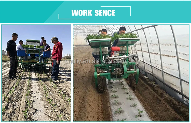 Vegetable Seedling Transplanting Machine - High Productivity